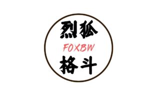 ALL VIDEOS（所有视频） – FOXBW